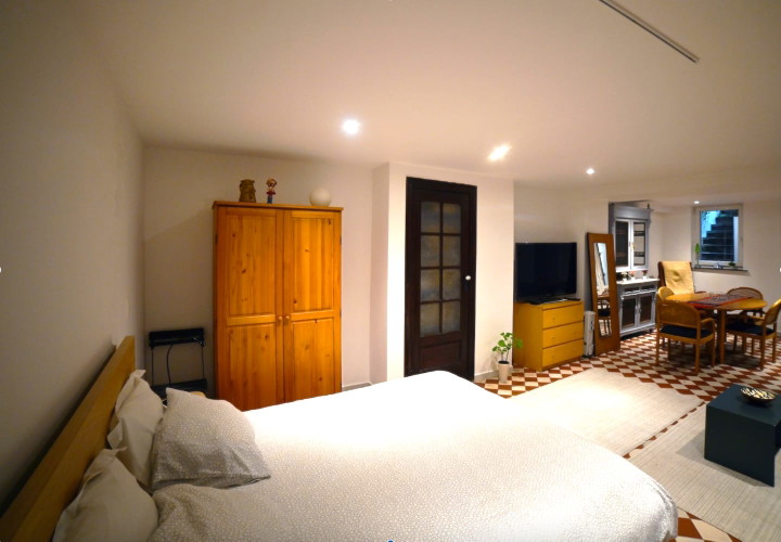 Cosy Apartment Walking To City Center /A/ - Schaerbeek
