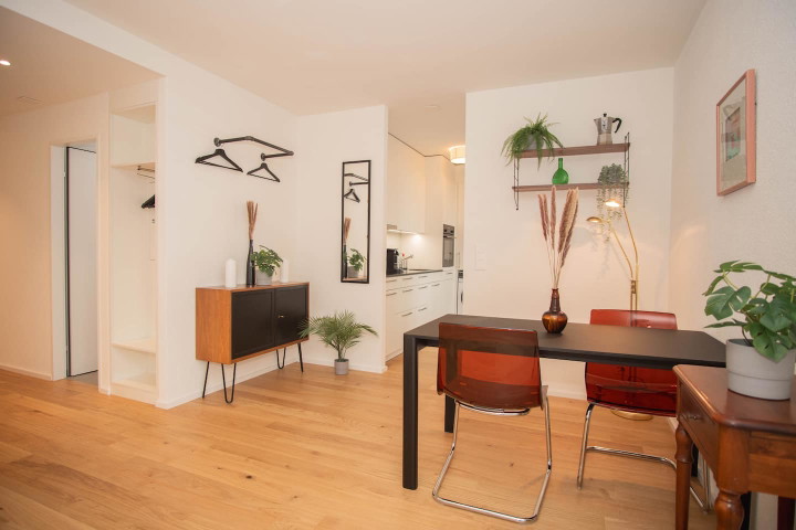 Penthouse With Terrace & Panoramic View Over Basel - Basel
