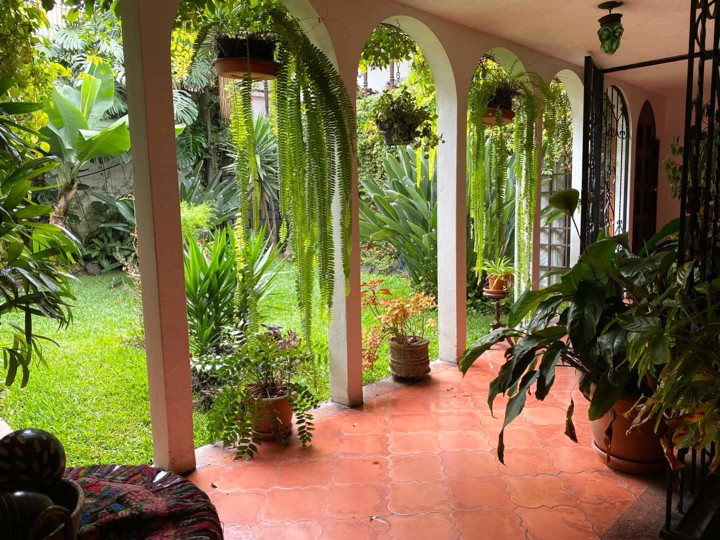 Don Hugo's Garden - Guatemala