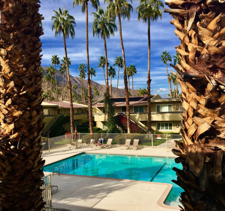 Sandstone Pool And Mountain View
P #7033 - Palm Springs, CA