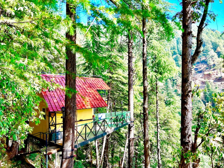 Dreamer's Nest$tree House$middle Of Cedar Forest - Chail