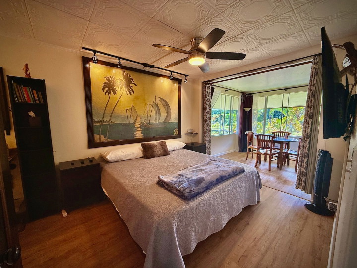 Completely Private Hilo Condo, Convenient Location - Hilo, HI