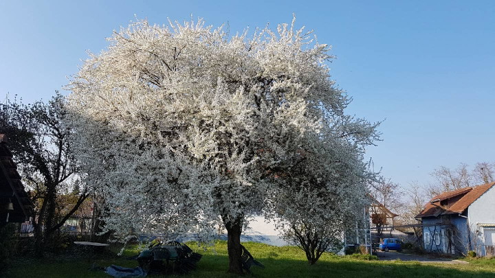 «&nbsp;Open Home&nbsp;» En Pleine Campagne - Alsace