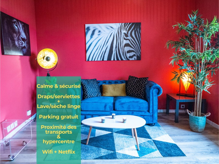 Colorful Cocoon T2 - Toulouse/minimes - Parking - Toulouse