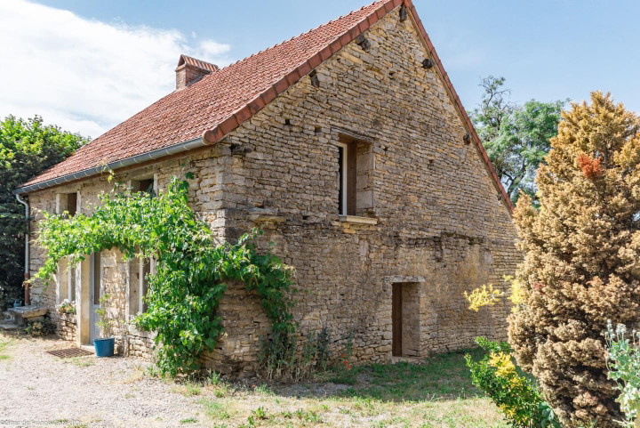 En Bourgogne Avec Les éCureuils - Pouilly-en-Auxois