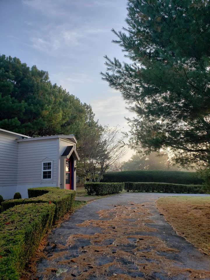 Piney Woods Cottage - Arkansas