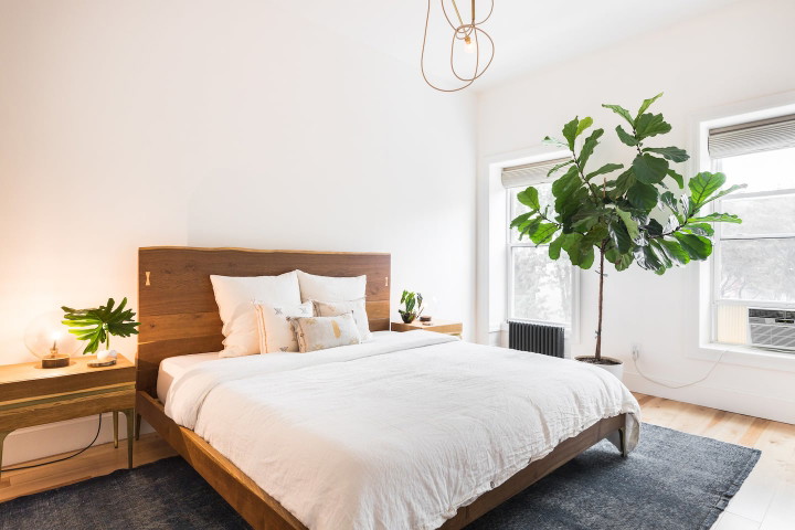 Penthouse Privé Spacieux Dans Un Brownstone De Brooklyn : - Brooklyn, NY