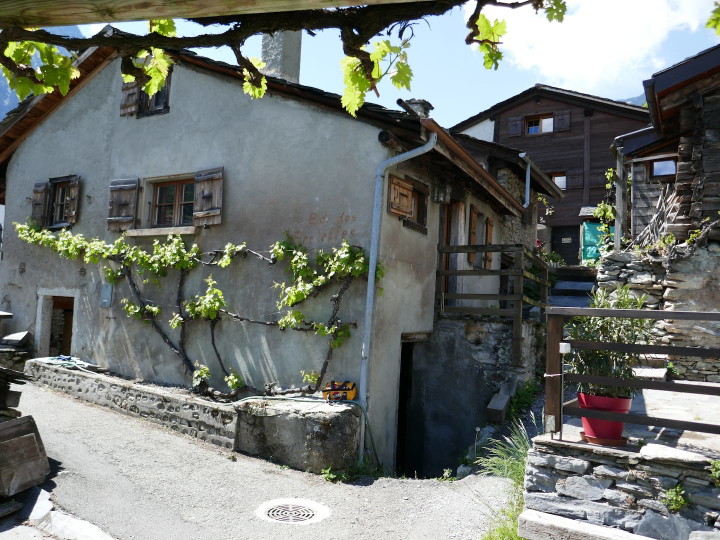 Mazot Rustique Dans Le Vignoble Du Valais - Martigny