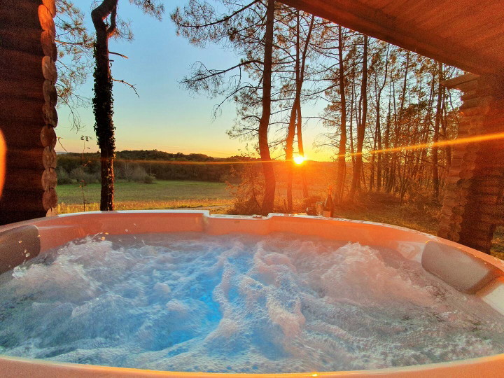 Beautiful Log Cabin With Hot Tub 1 - Dordogne