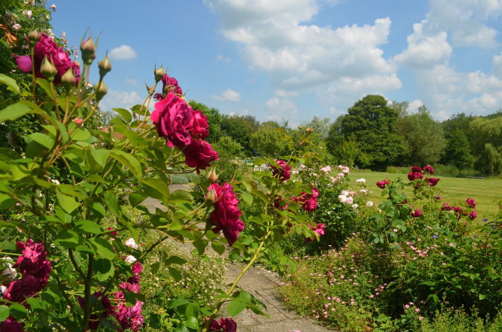 Secret Rural Retreat - Sherborne