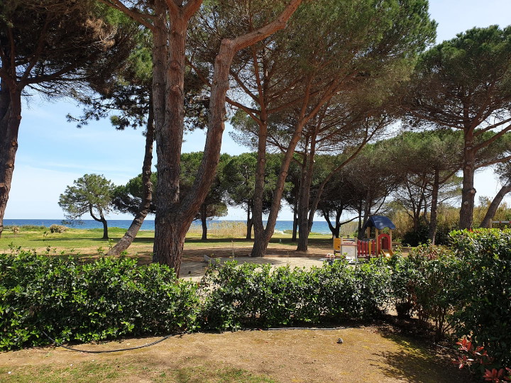 At The End Of The Garden, The Pine Forest And The Beach - Corsica