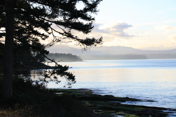 Sage Cottage At The Last Resort On Gabriola - Nanaimo