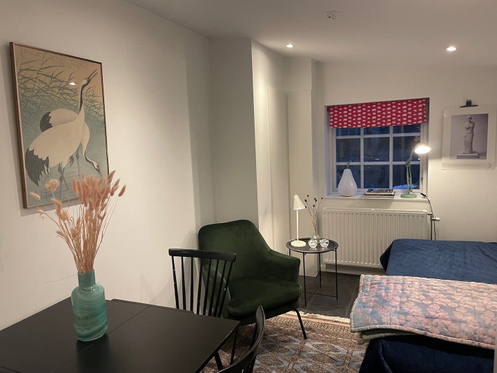 Gårdshus Med Takfönster - Malmö