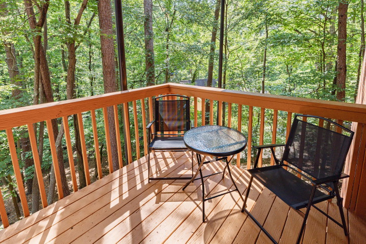 Guest House*stunning Retreat*surrounded By Forest - Roswell, GA