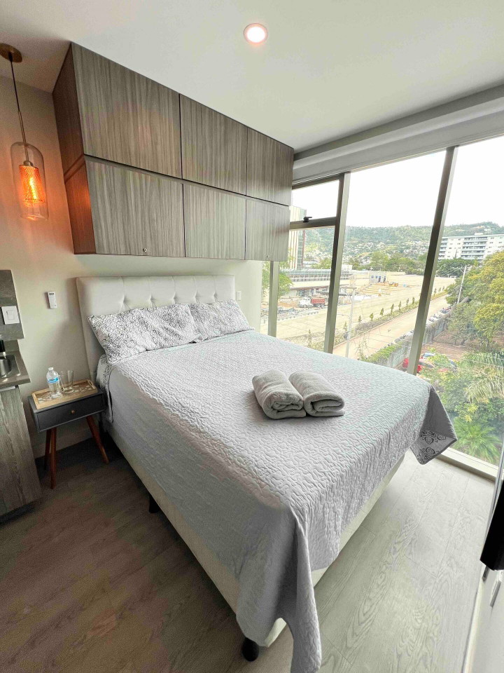 Modern And Central Studio Apartment - Tegucigalpa