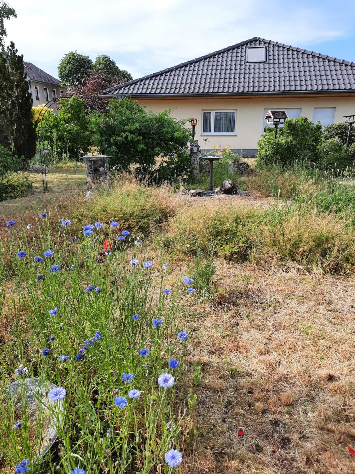 Ferienhaus Gottesbrück - Erkner
