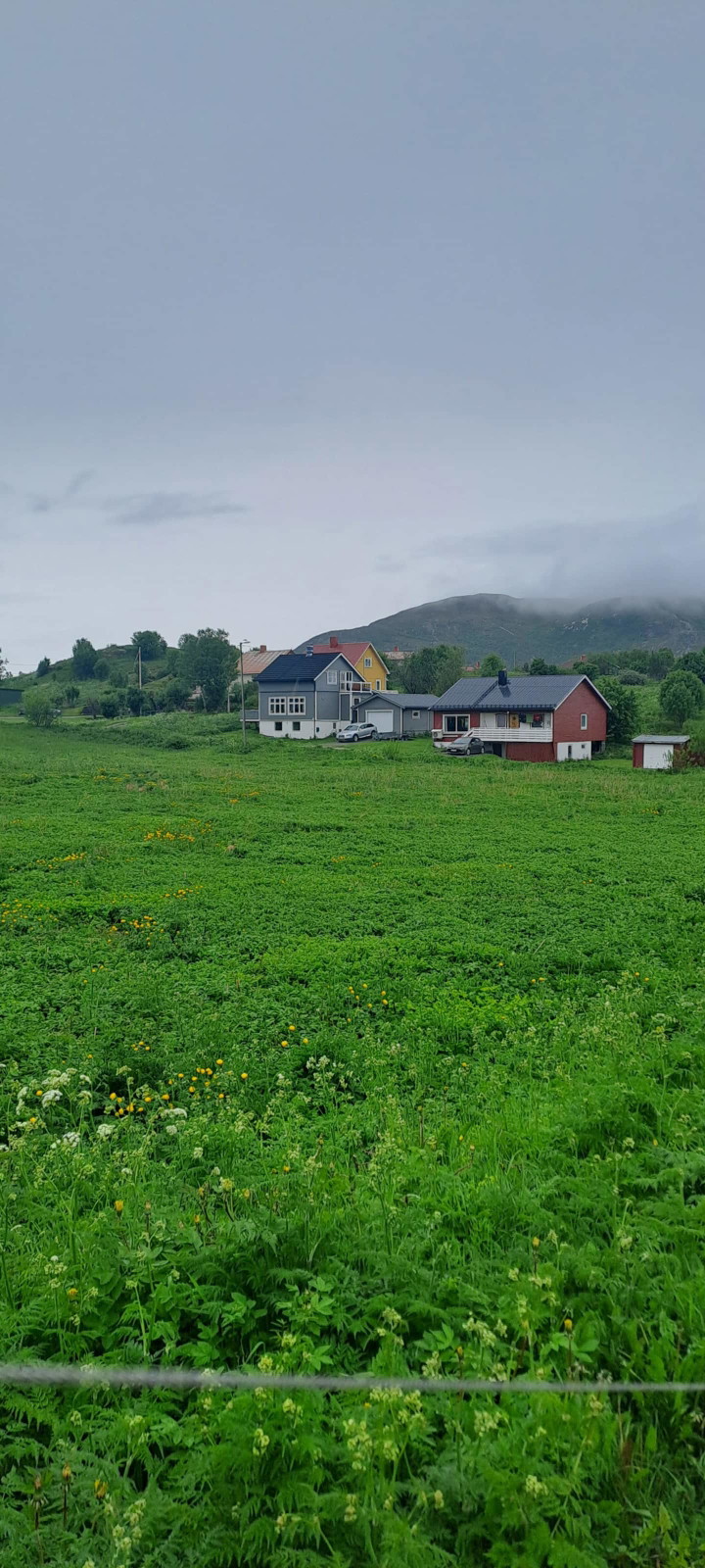 Cozy Home Outside Tromsø, Sommarøya. - Noruega