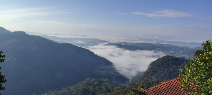 Green Paradise Room-3 - Munnar