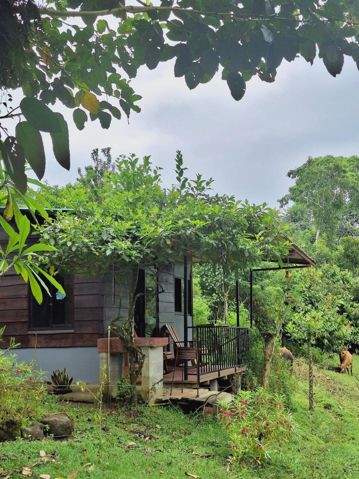 Cabaña Santuario - Costa Rica