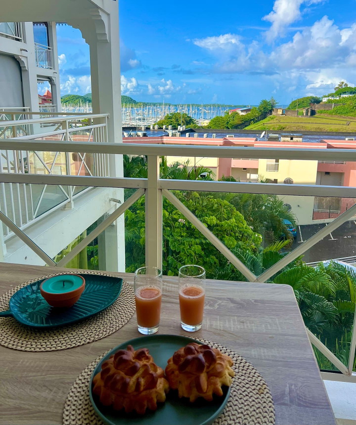 Petit Palmier - Havre Tropical Vue Mer - Martinique