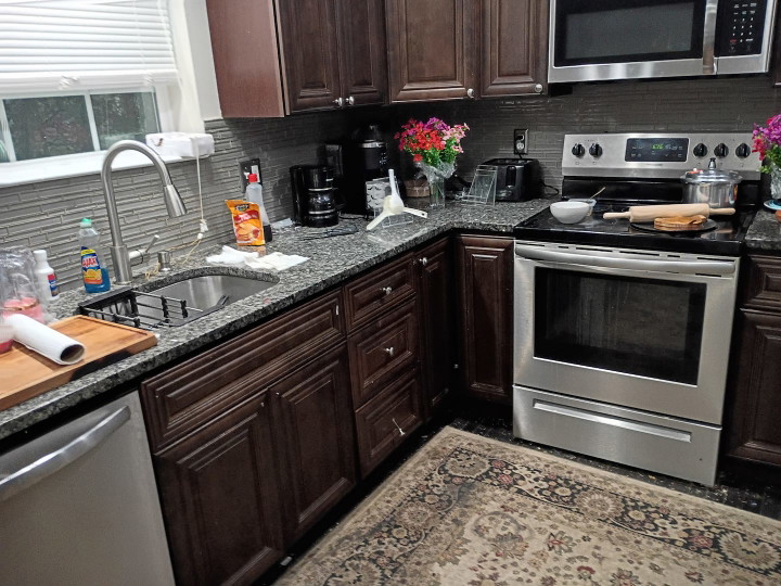 Annapolis By St John College Cat Food $50 - Annapolis, MD