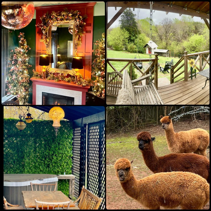 Fall Foliage, Alpaca Views + Hot Tub Getaway - Manassas, VA