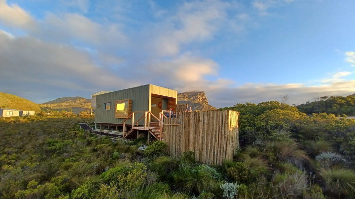 Nest - Pringle Bay
