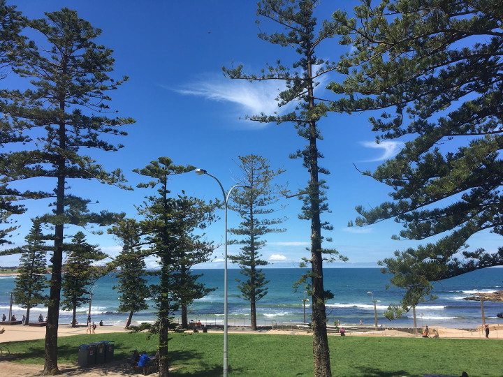 Entire Beachfront Luxury Apartment - The Strand - Sydney