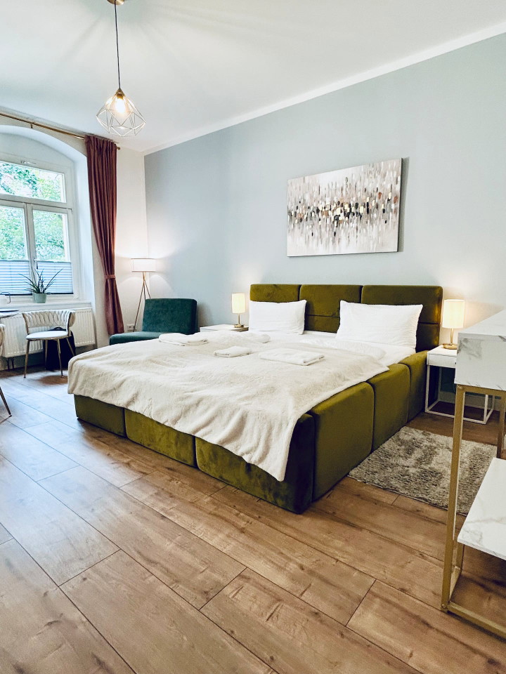 Modern City Apartment With Large Terrace - Dresden