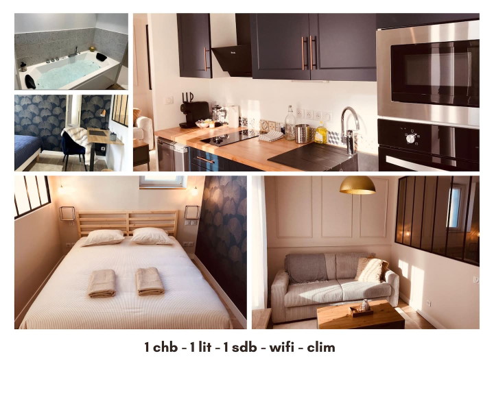 Charmant Studio Balnéo Wifi Clim Borne Electrique - Vierzon