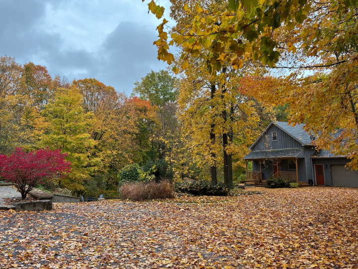 Luxury Cottage In The Woods - Kingston