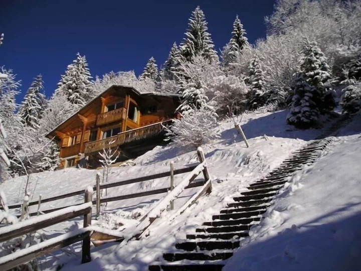 La Rissole - Chalet Familial - Avoriaz