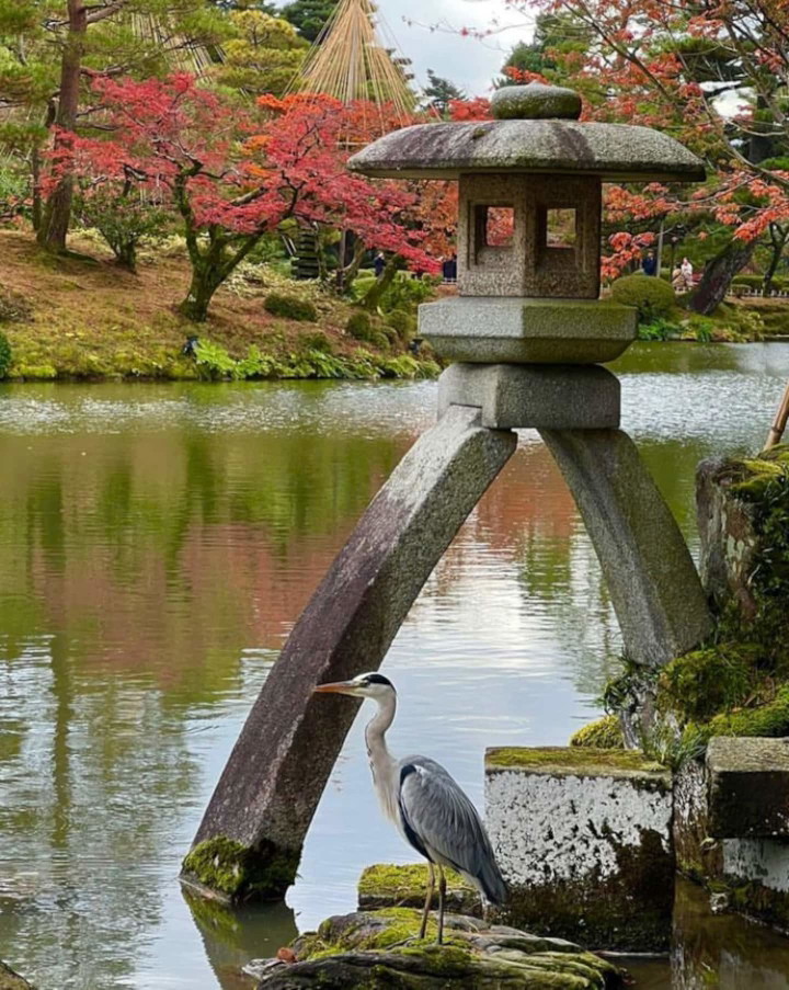 兼六園まで徒歩約10分。観光に便利で静かな住宅街にあるアパートの一室 - Kanazawa