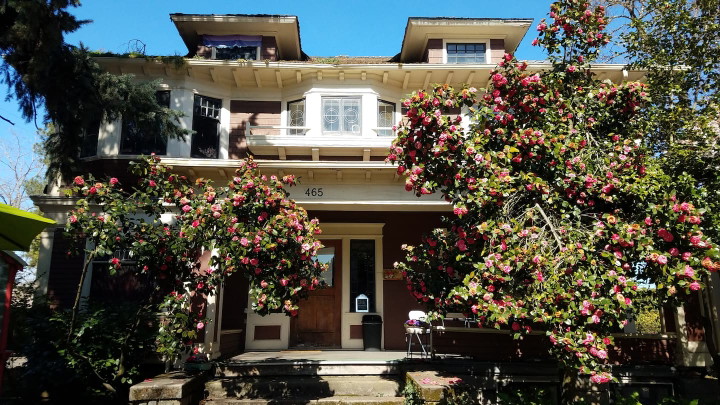 Apt 3, Craftsman Charm At The University. - Eugene, OR