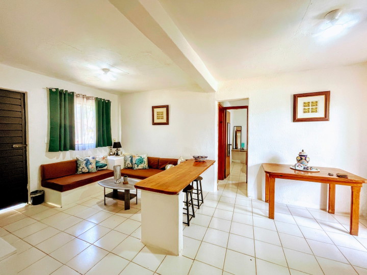 Cabo Downtown Apartment- 2 Bedroom - 1 To 4 People - Cabo San Lucas