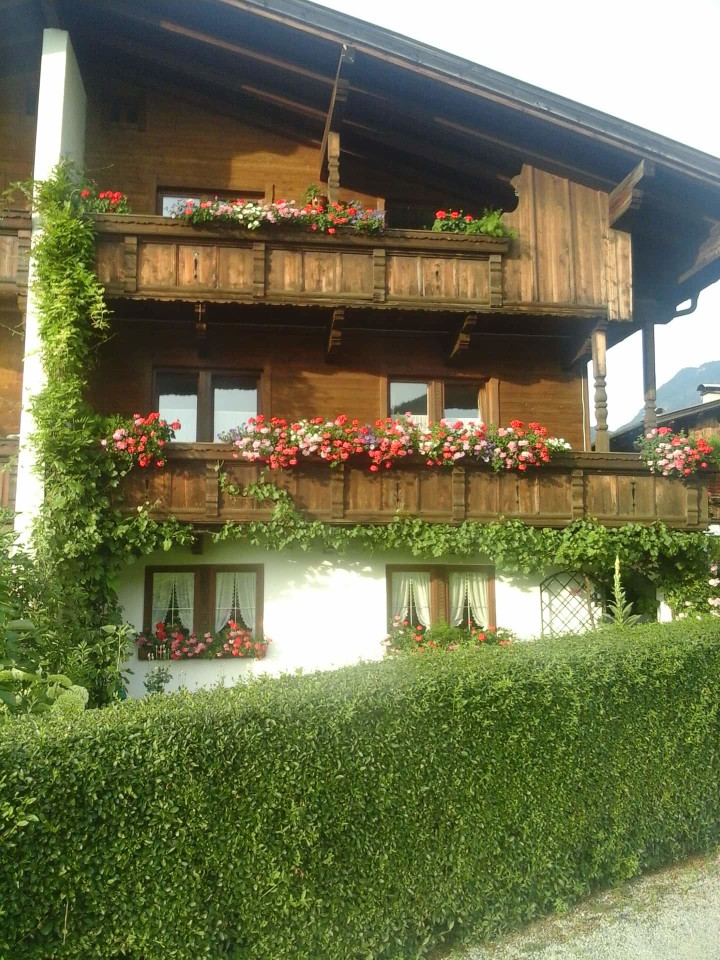 Apartment Johanna - Alpbach