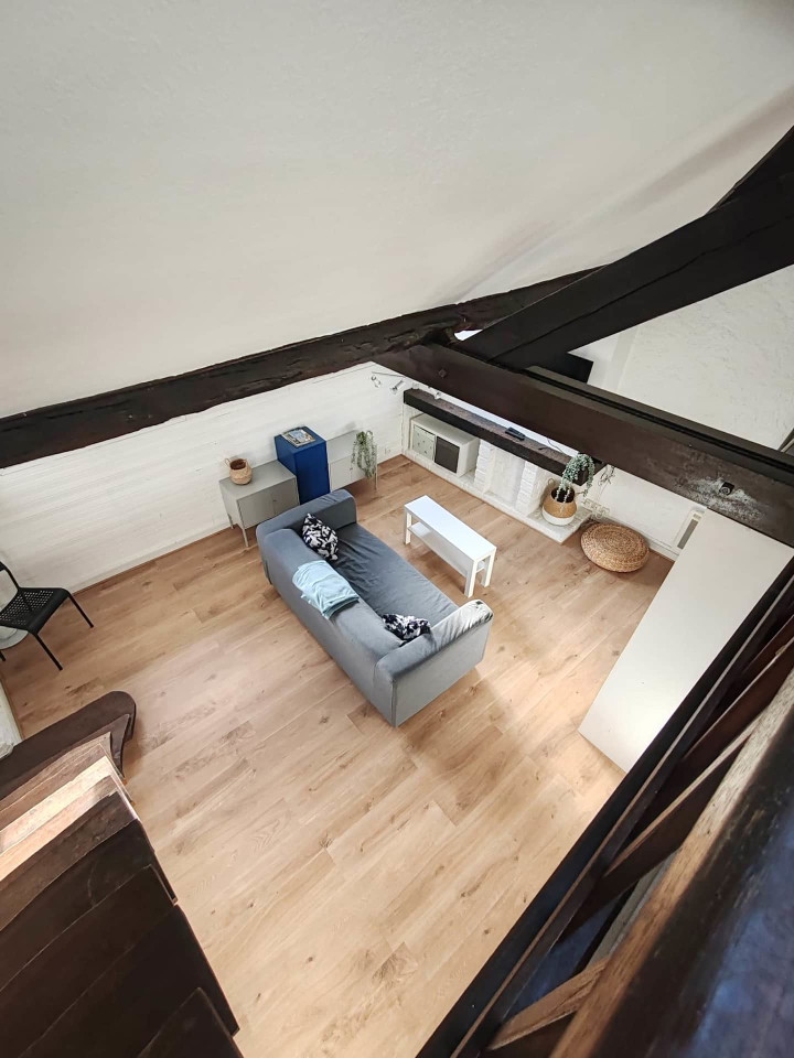 Charming 3-room Apartment In The Heart Of The City - Orléans