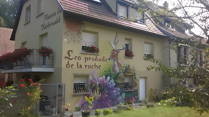 Chambre Familiale - Riquewihr