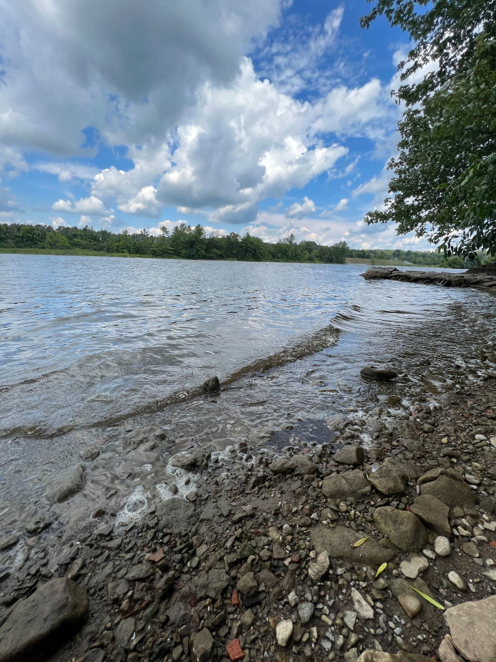 Private, Wide, Riverfront Cottage In Campbellford - Campbellford