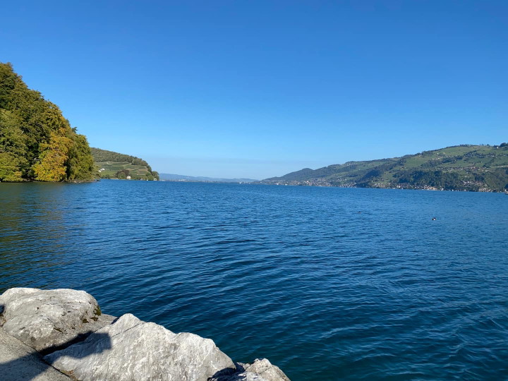Loft Avec Vue Sur Le Lac Et Les Montagnes - Thoune