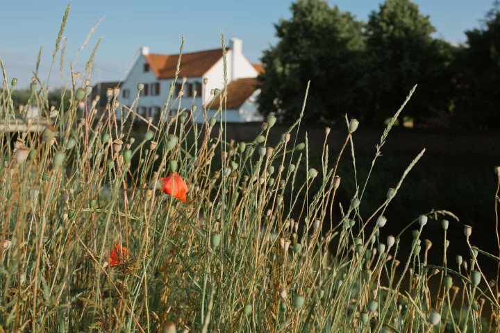 Charme Hoeve Aan De Nete -Itegem/heist Op Den Berg - Herentals