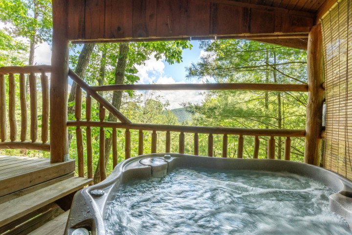 Hot Springs Love Shack! Hot Tub, Privacy, Views - Hot Springs, NC