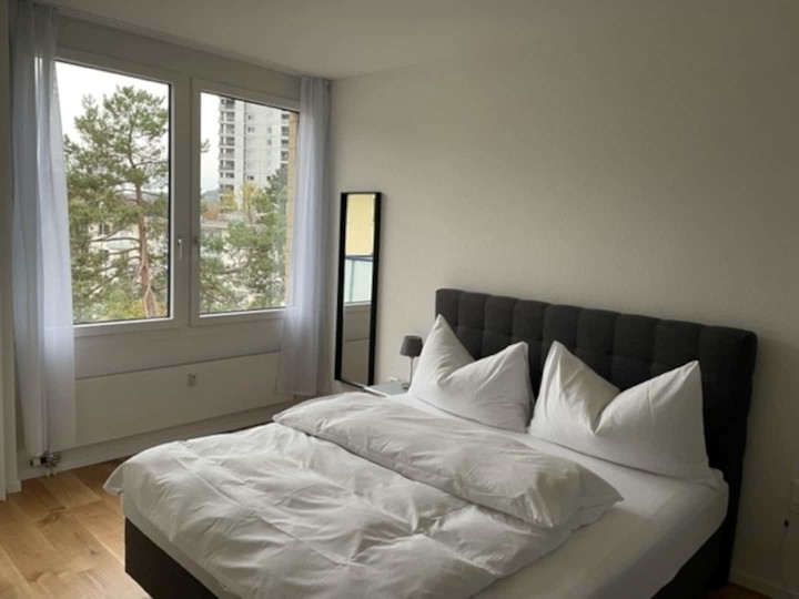 Hochwertige 2-zimmer-wohnung - Winterthour
