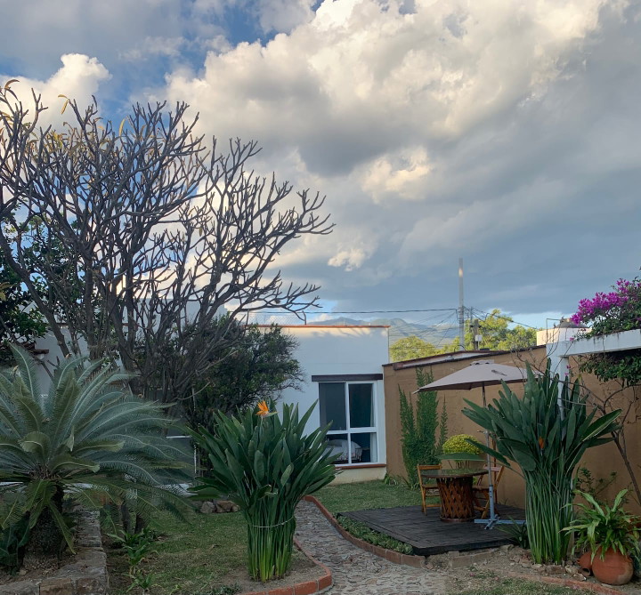 Jardín Xochimilco. - Oaxaca
