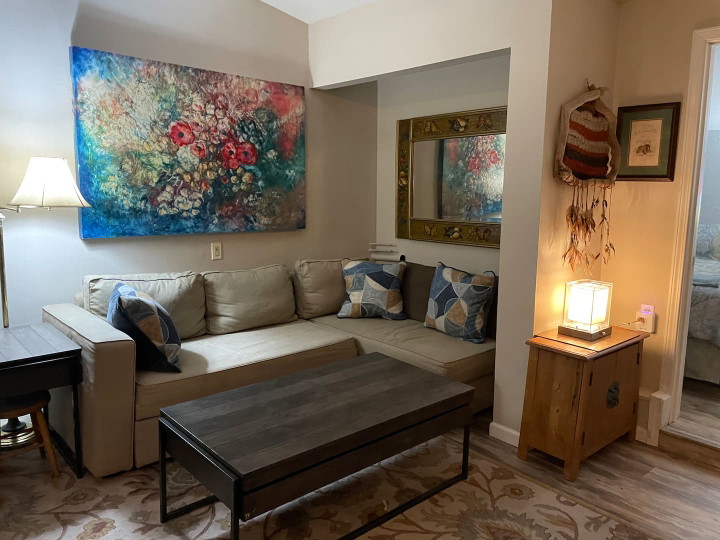 Hillside 1br/1ba/kitchen Near Skiing & Hot Springs - Glenwood Springs, CO