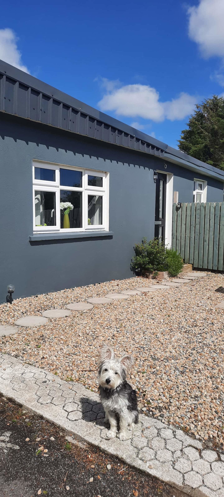 The Cabin - Castlebar