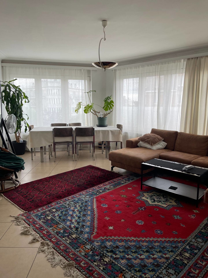 Luminous 1 Bedroom Apartment - Brussels