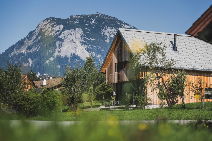 Zirbenwipfel | Dachstein Views | Pool & Sauna - Bad Aussee