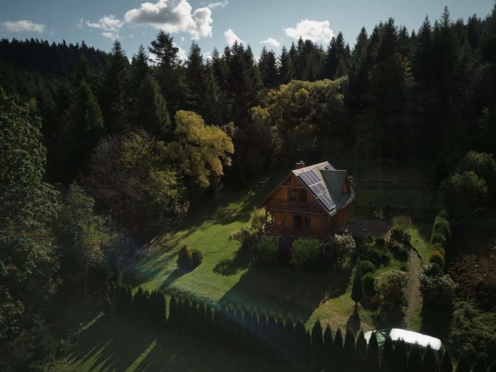 Poziomka - Polańczyk