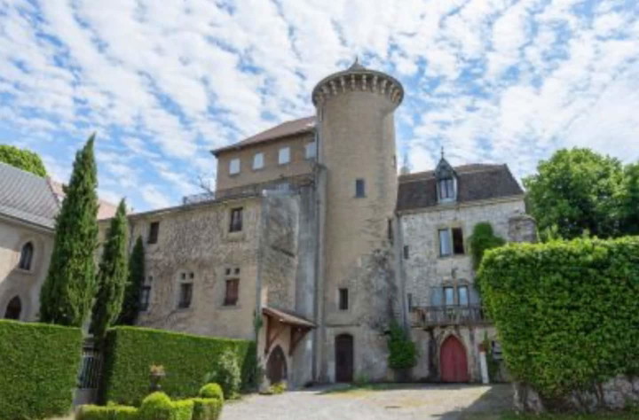 Appartement De Charme Dans Un Château - Évian-les-Bains